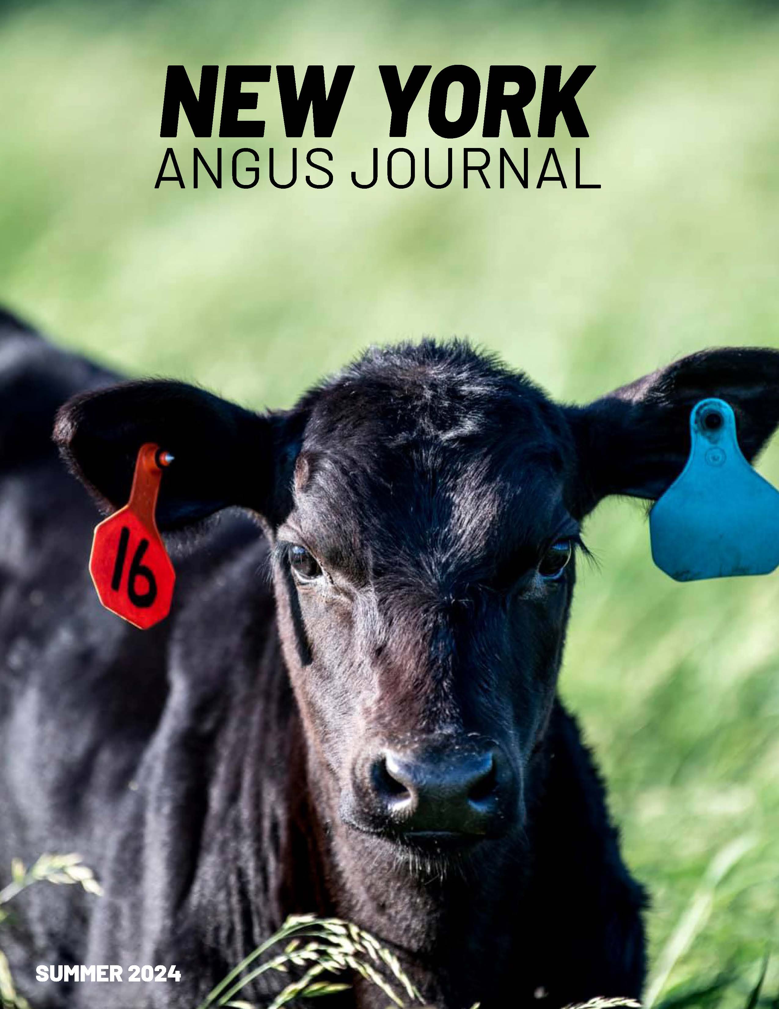 NEW YORK ANGUS JOURNAL – New York Angus Association